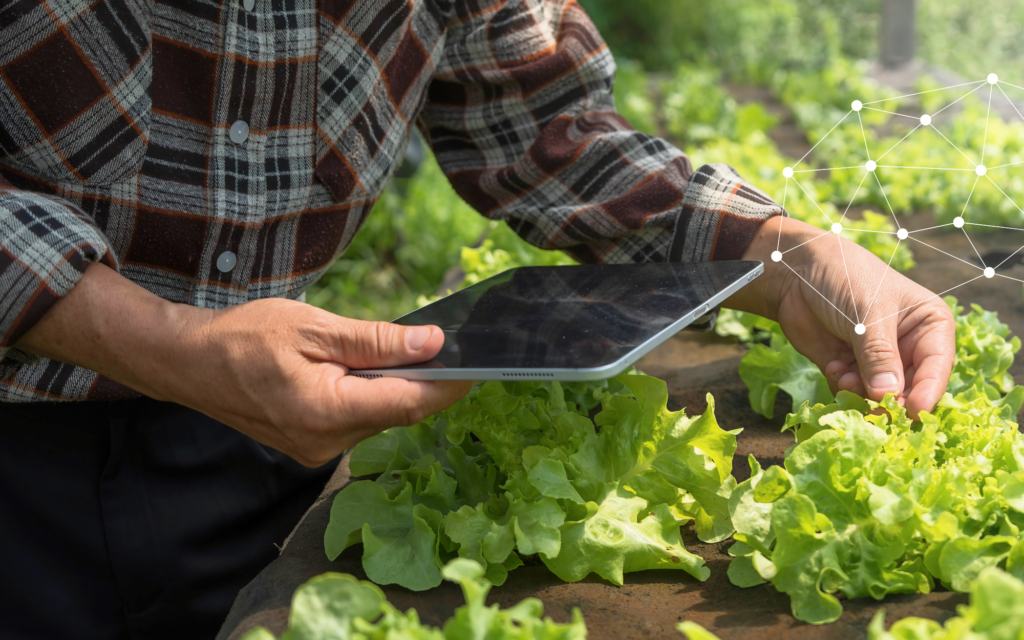 Gestión agrícola eficiente para mejorar la productividad agrícola