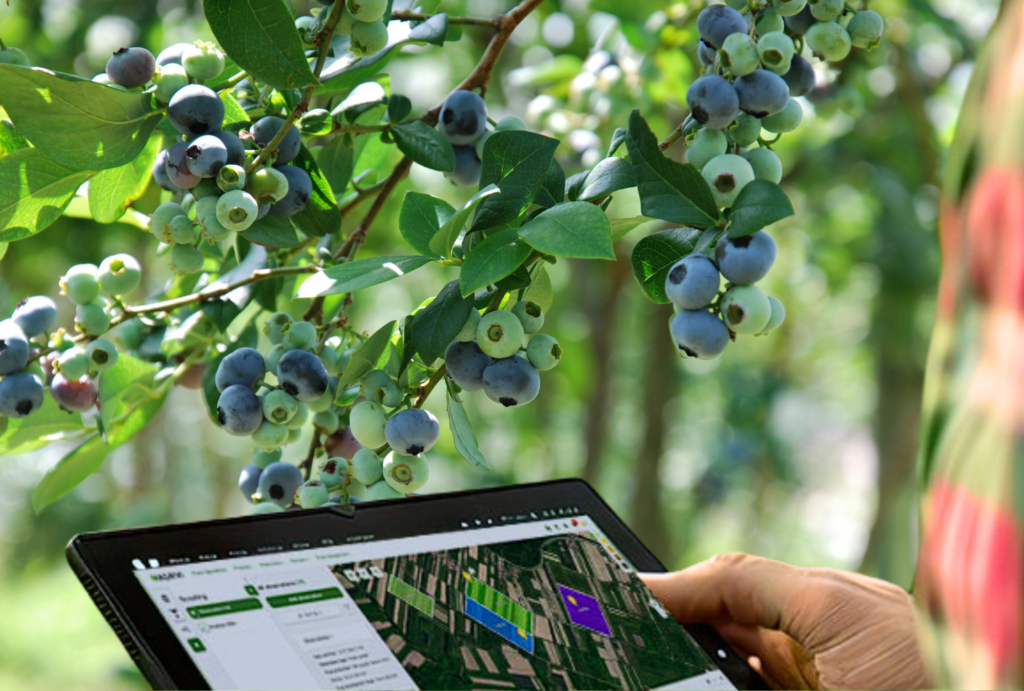 Agtech para proteger la rentabilidad y beneficiar al medio ambiente ...